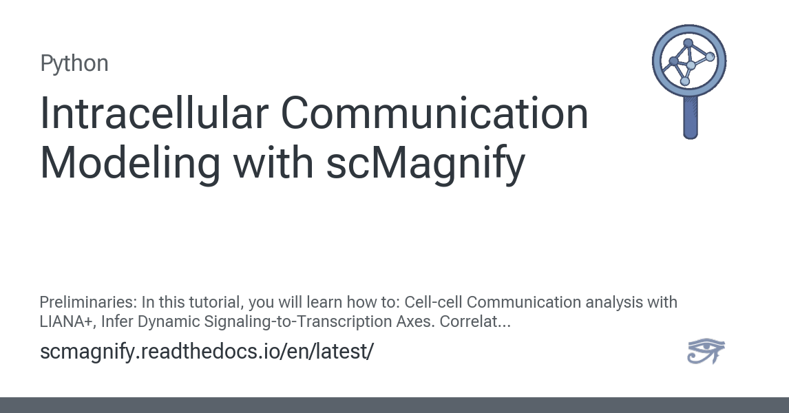 Intracellular Communication Modeling with scMagnify — scmagnify